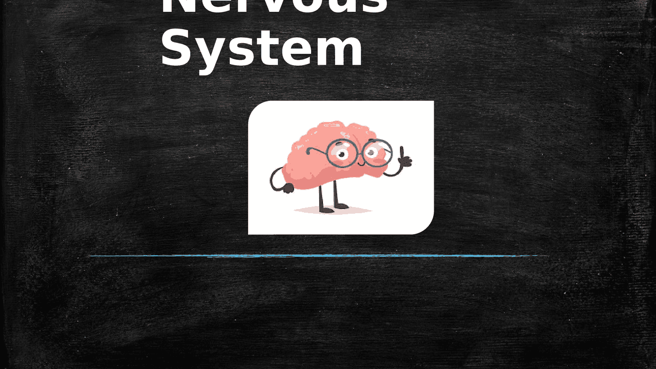 Il Sistema Nervoso Ppt In Inglese Slide Di Scienze Umane Docsity