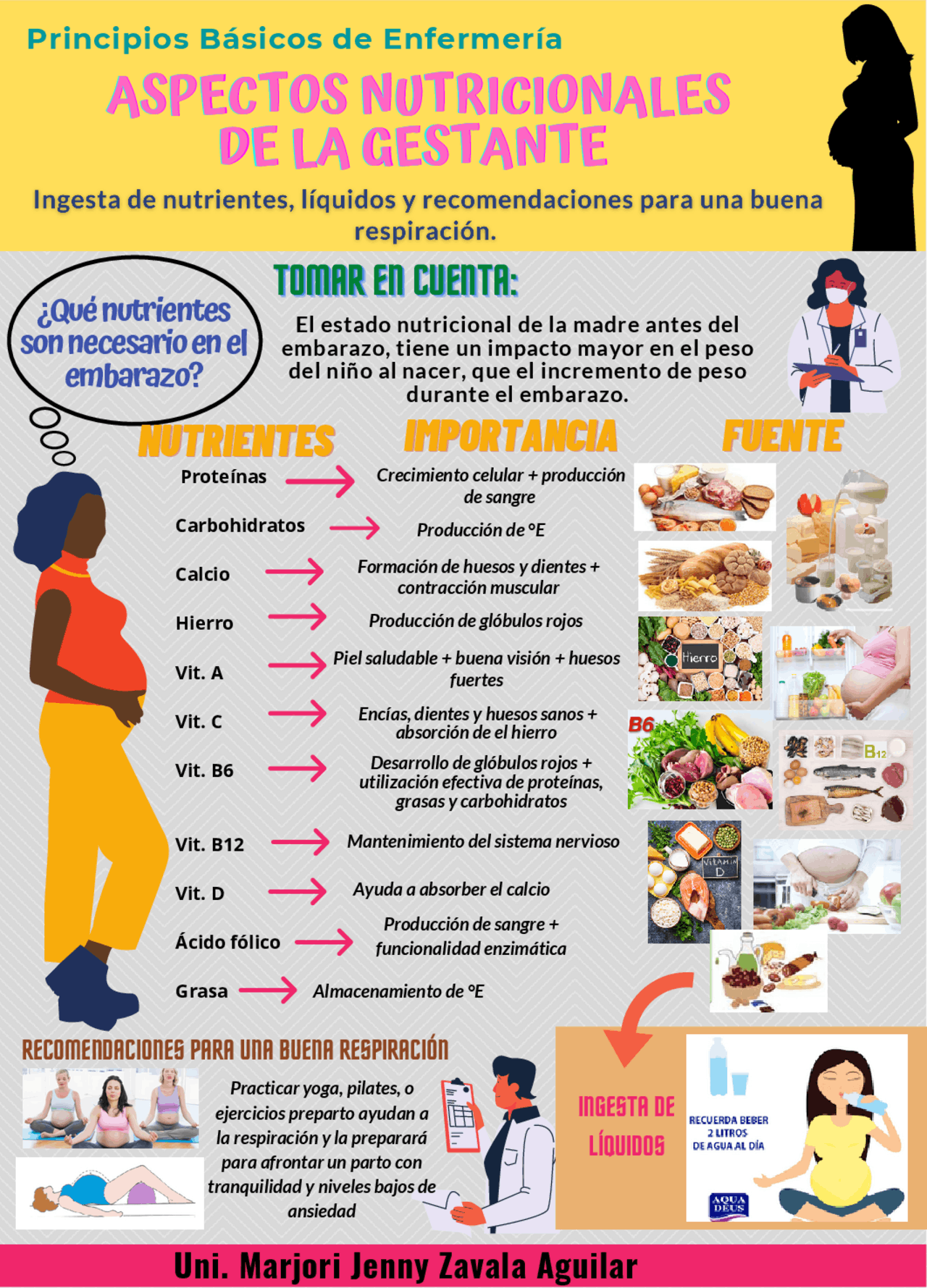 NutriciÓn En La GestaciÓn Esquemas Y Mapas Conceptuales De Nutrición
