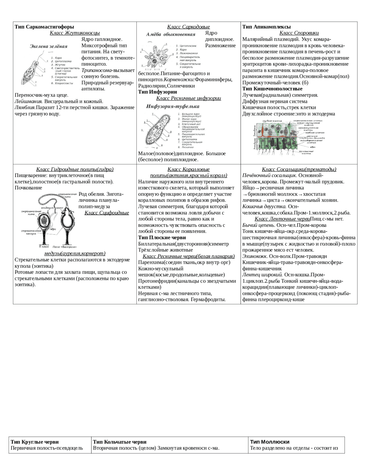 Биология шпаргалка по всей теории Шпаргалки Биология Docsity