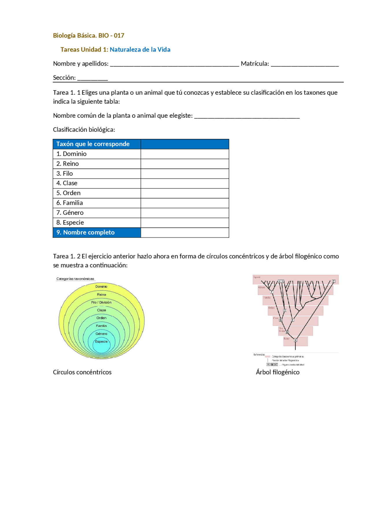 Clasificacion De Los Seres Vivos Apuntes De Informática Docsity