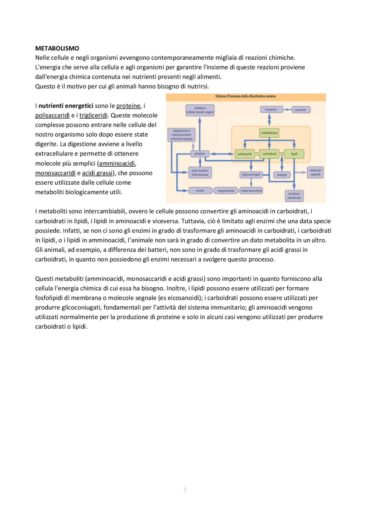 Metabolismo, secondo modulo Biochimica | Sbobinature di Biochimica | Docsity