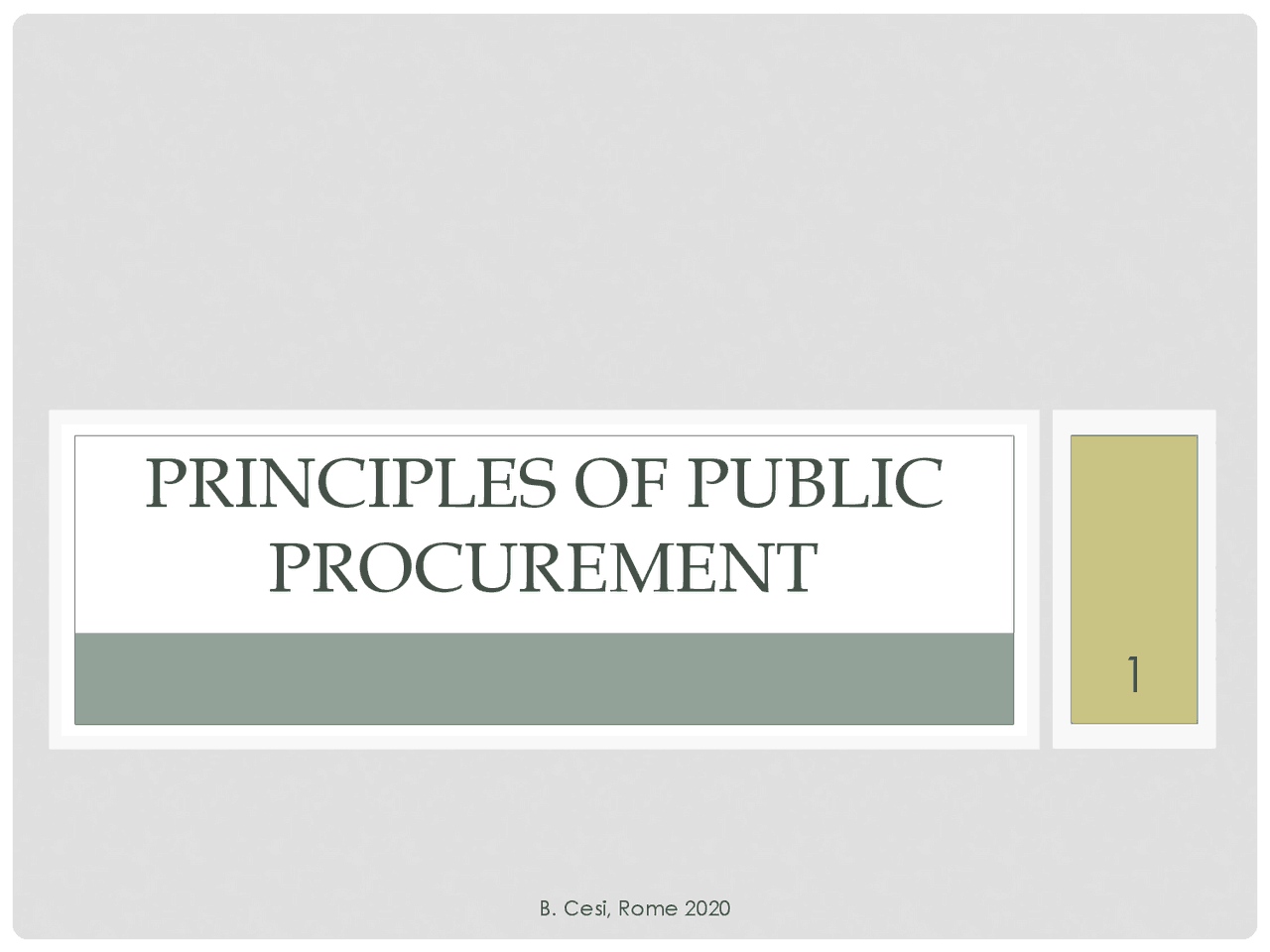 Principles of Public Procurement | Study notes Negotiation | Docsity