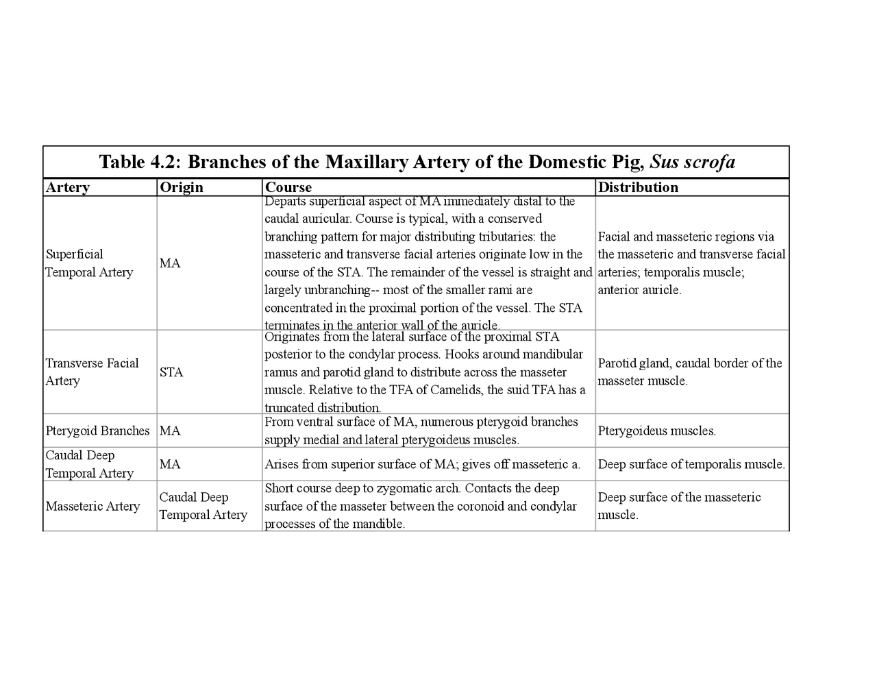 Branches of the Maxillary Artery of the Domestic Pig, Sus scrofa ...