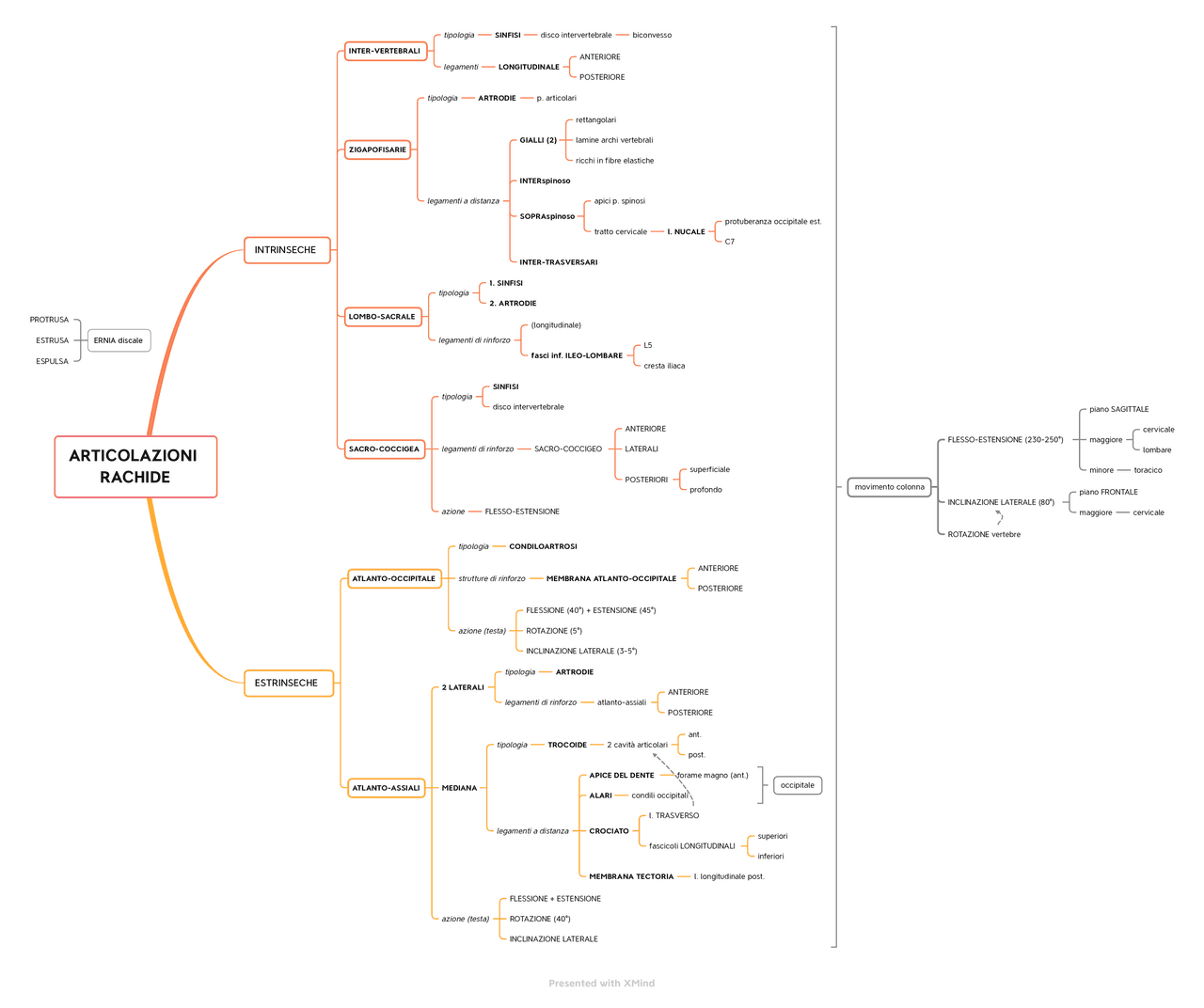 Articolazione e scheletro Rachide | Schemi e mappe concettuali di ...