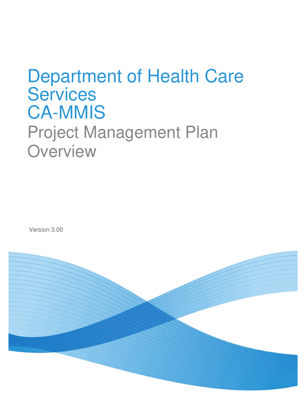 Project Management Plan Overview Schemes And Mind Maps Project