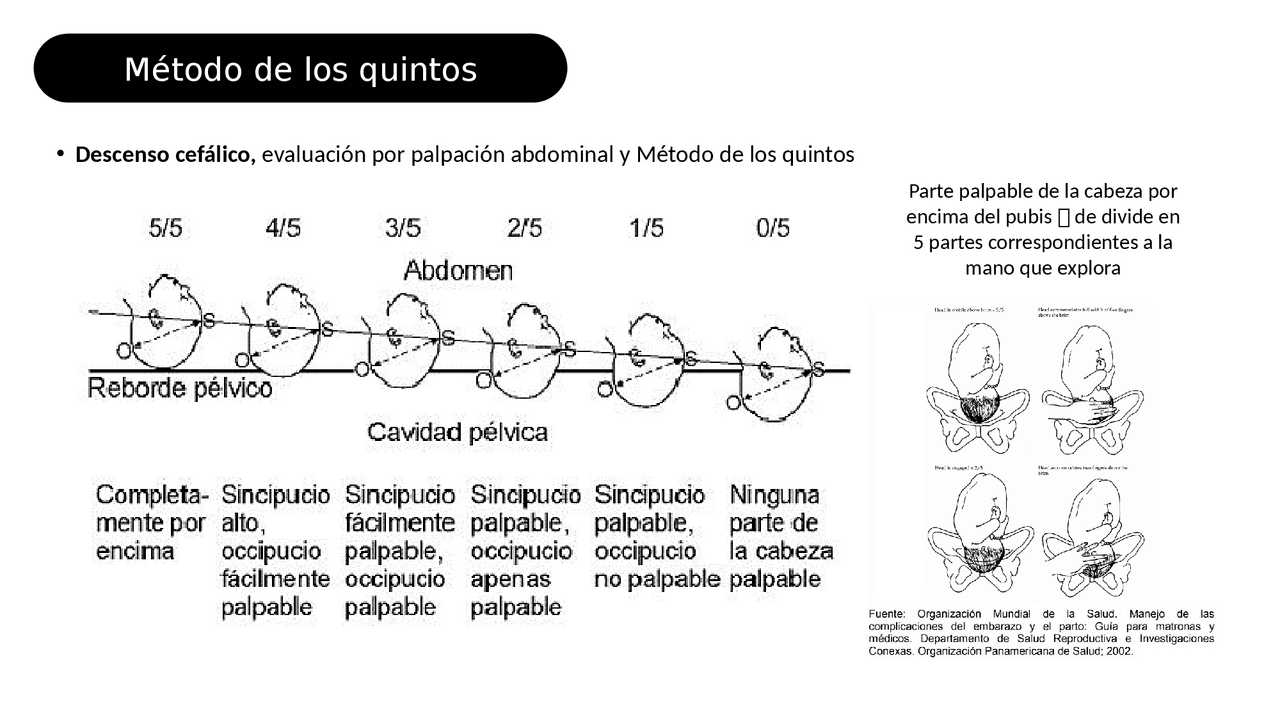 Ginecología Obstetricia Apuntes De Ginecología Docsity