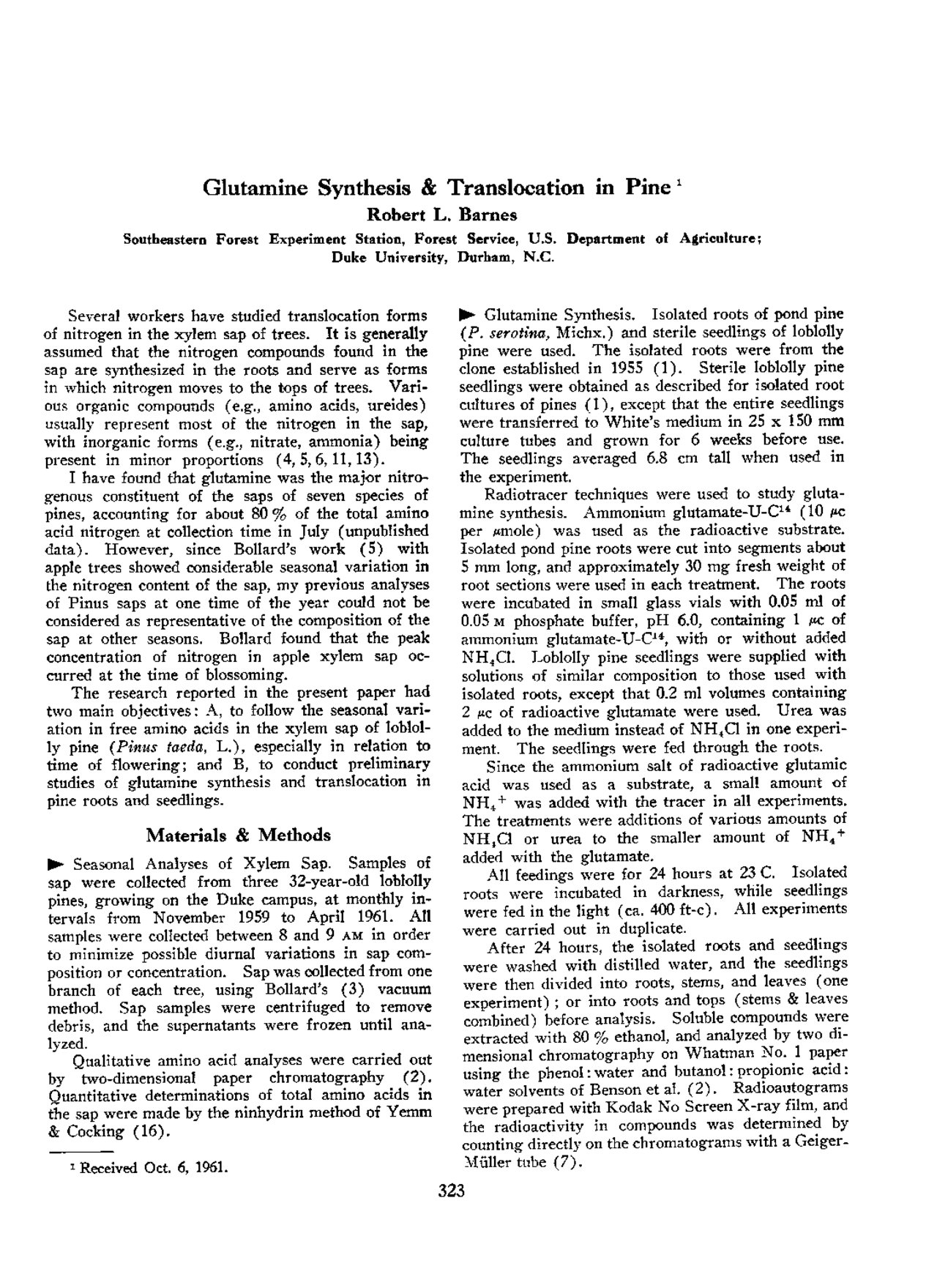 Glutamine Synthesis & Translocation inPine' | Summaries Accounting ...