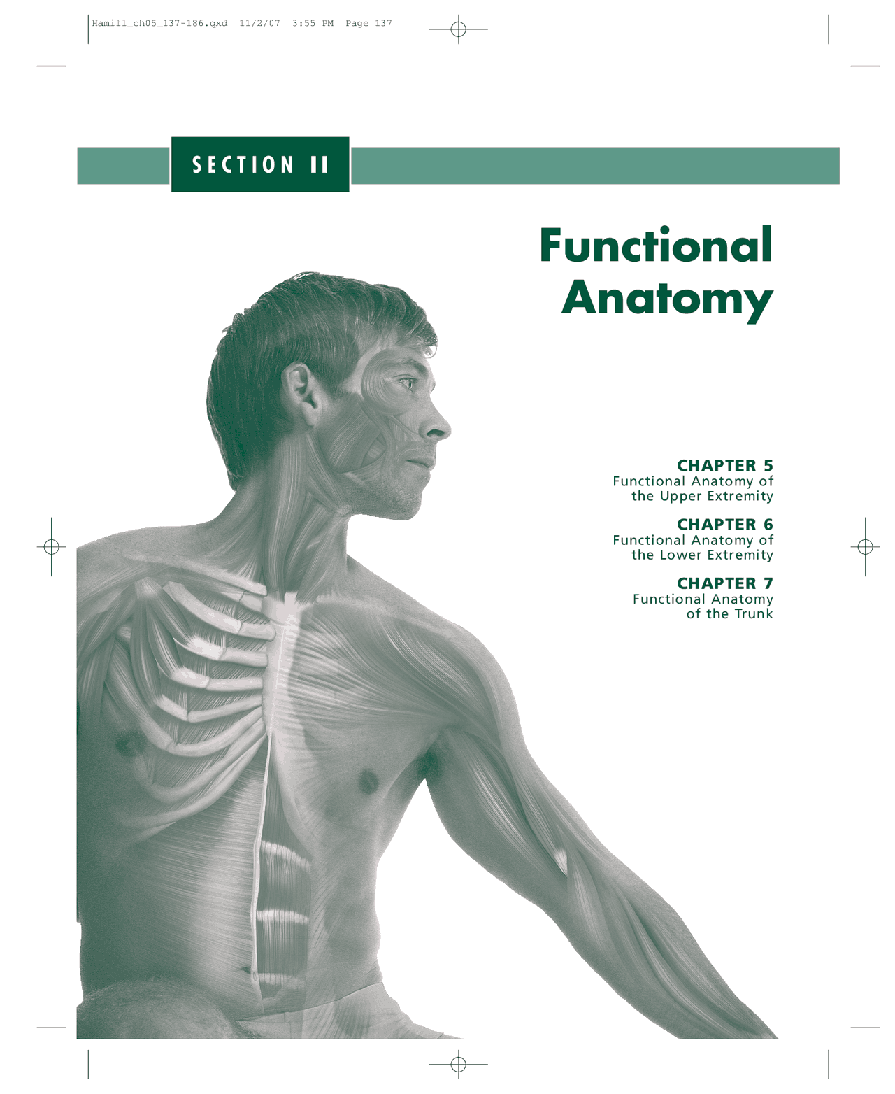 Functional Anatomy | Study Guides, Projects, Research Anatomy | Docsity