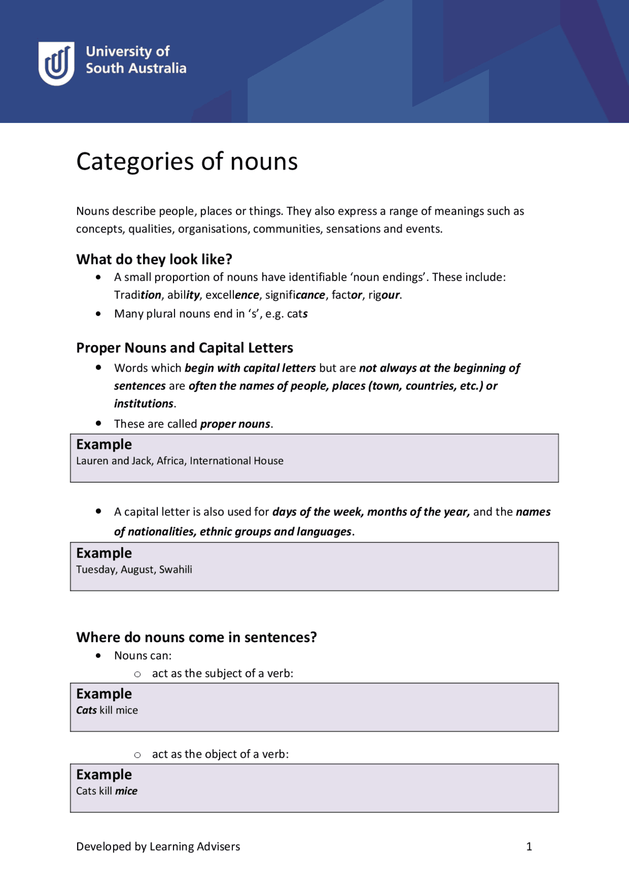 Understanding Nouns: Countable and Uncountable | Slides English Language | Docsity
