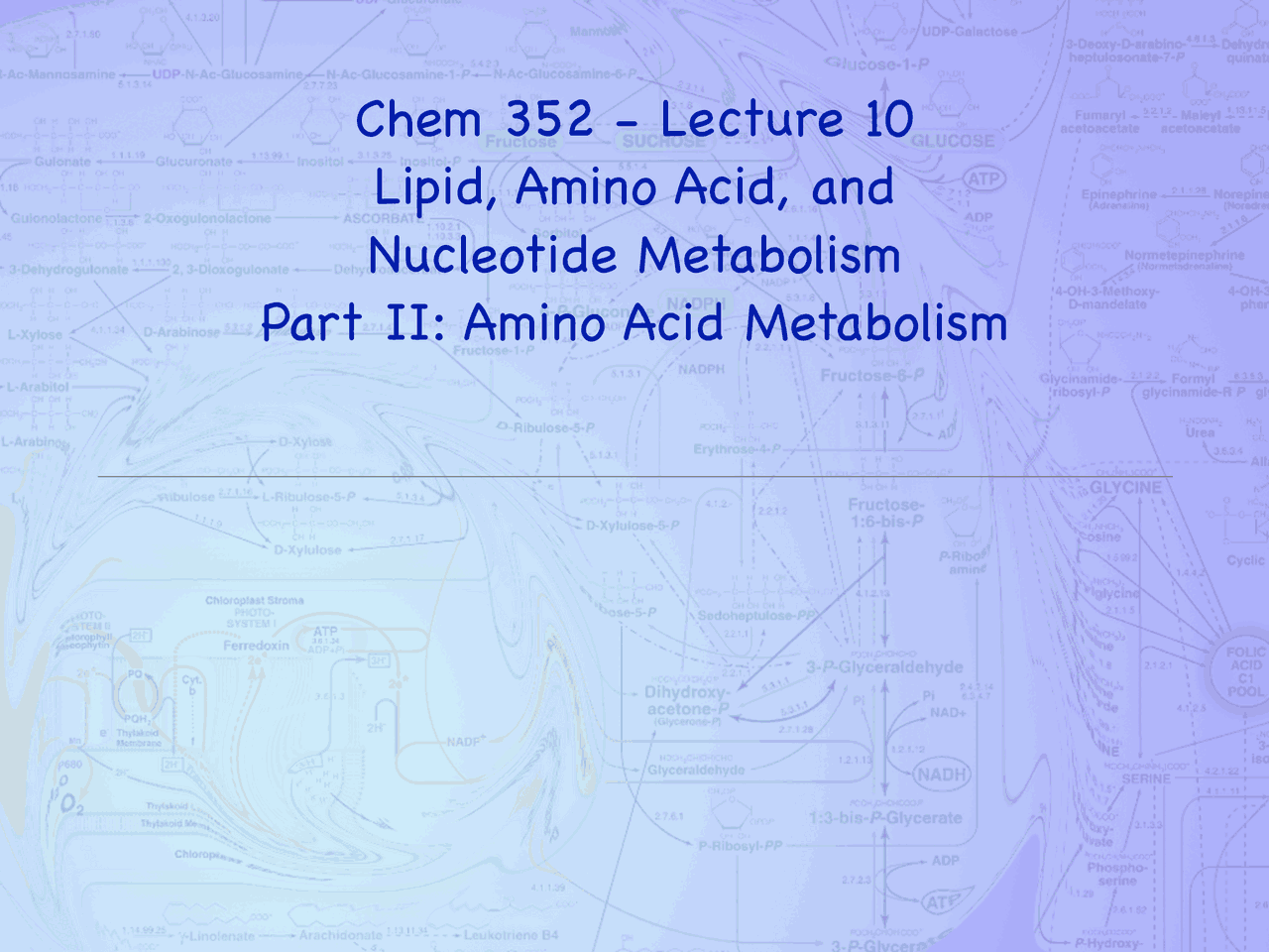 Chem 352 | Study notes Enzymes and Metabolism | Docsity