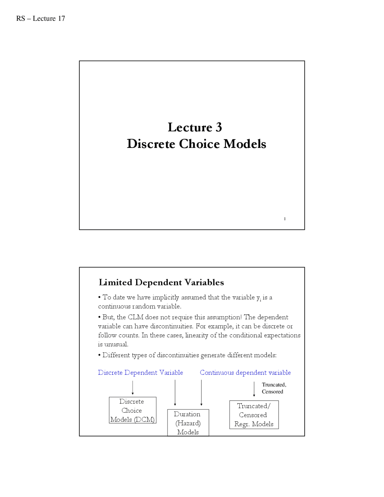 Lecture 3 Discrete Choice Models | Slides Microeconomics | Docsity
