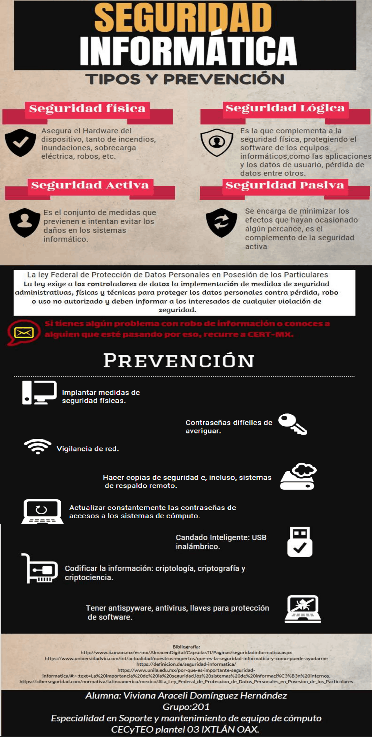 Infografia de la seguridad informatica | Esquemas y mapas conceptuales ...
