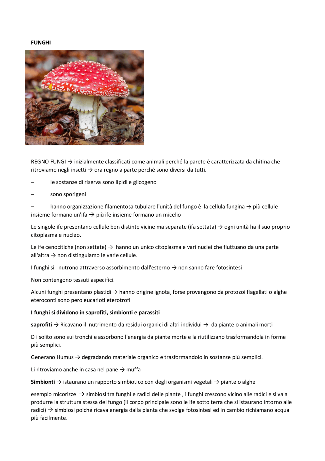 Appunti Botanica Integrati Con Libro Slide E Foto Appunti Di Botanica