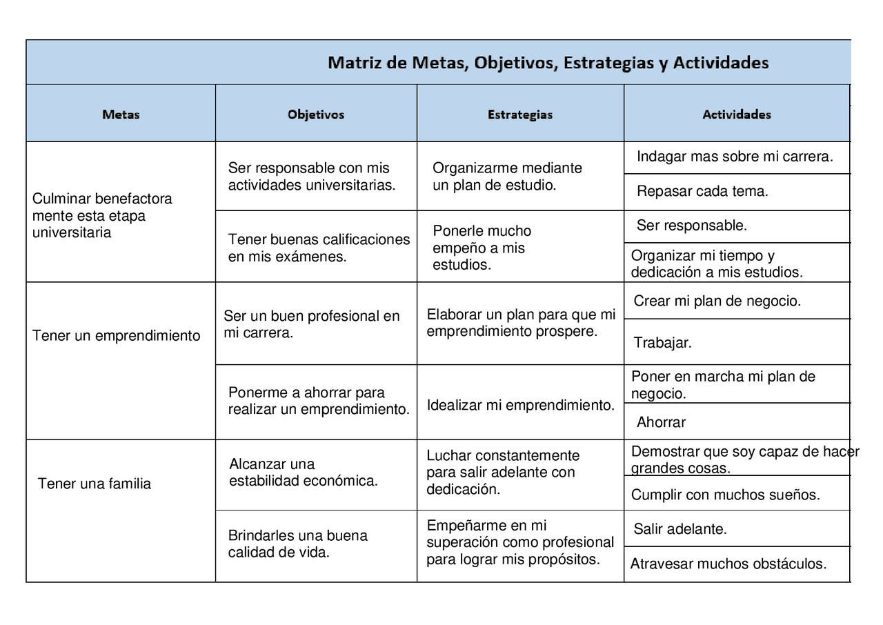 MATRIZ DE METAS, OBJETIVOS, ESTRATEGIAS Y ACTIVIDADES | Ejercicios de ...