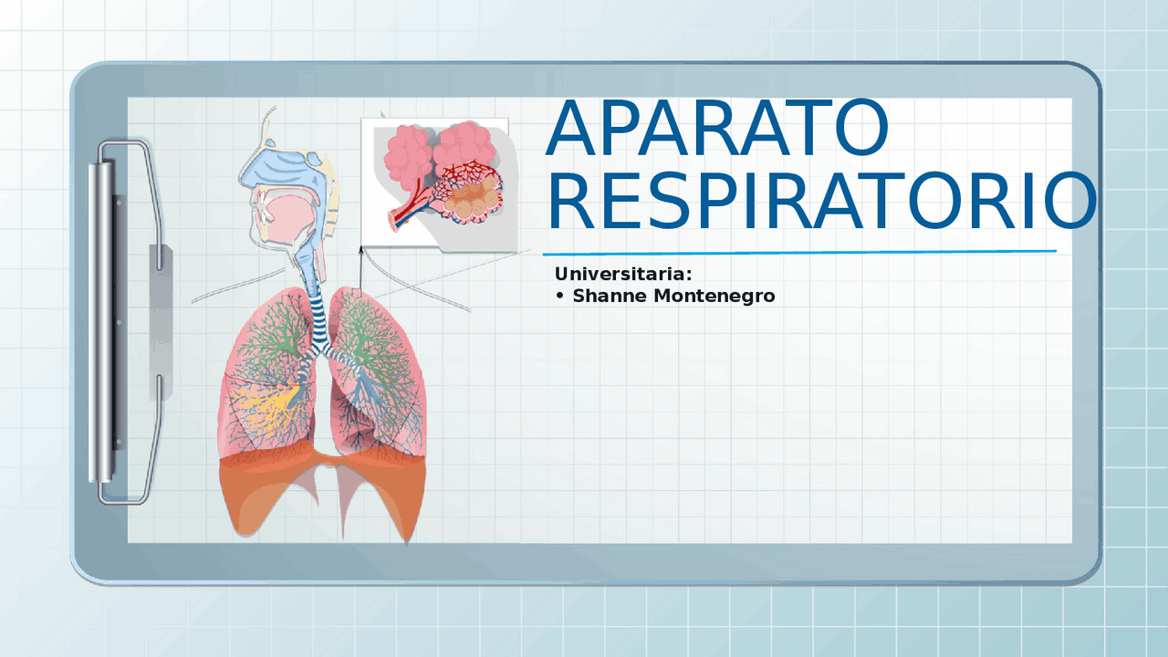 Aparato Respiratorio Diapositivas De Anatomía Docsity
