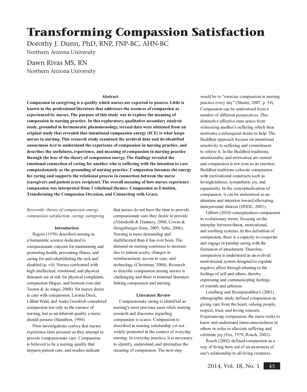 Transforming Compassion Satisfaction | Study notes Nursing | Docsity