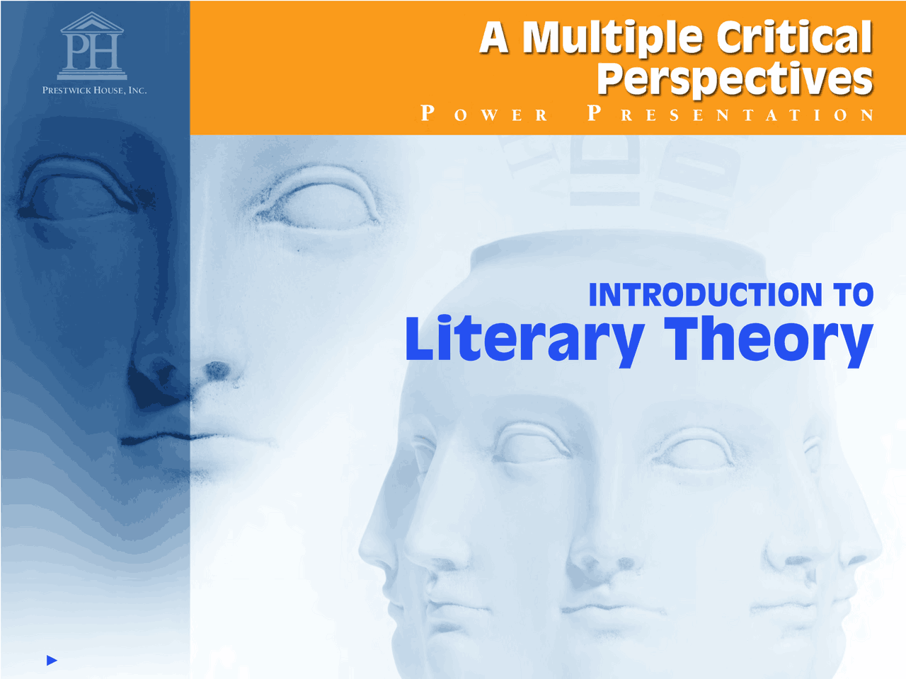Introduction to Literary Theory | Study notes Literary Theory | Docsity