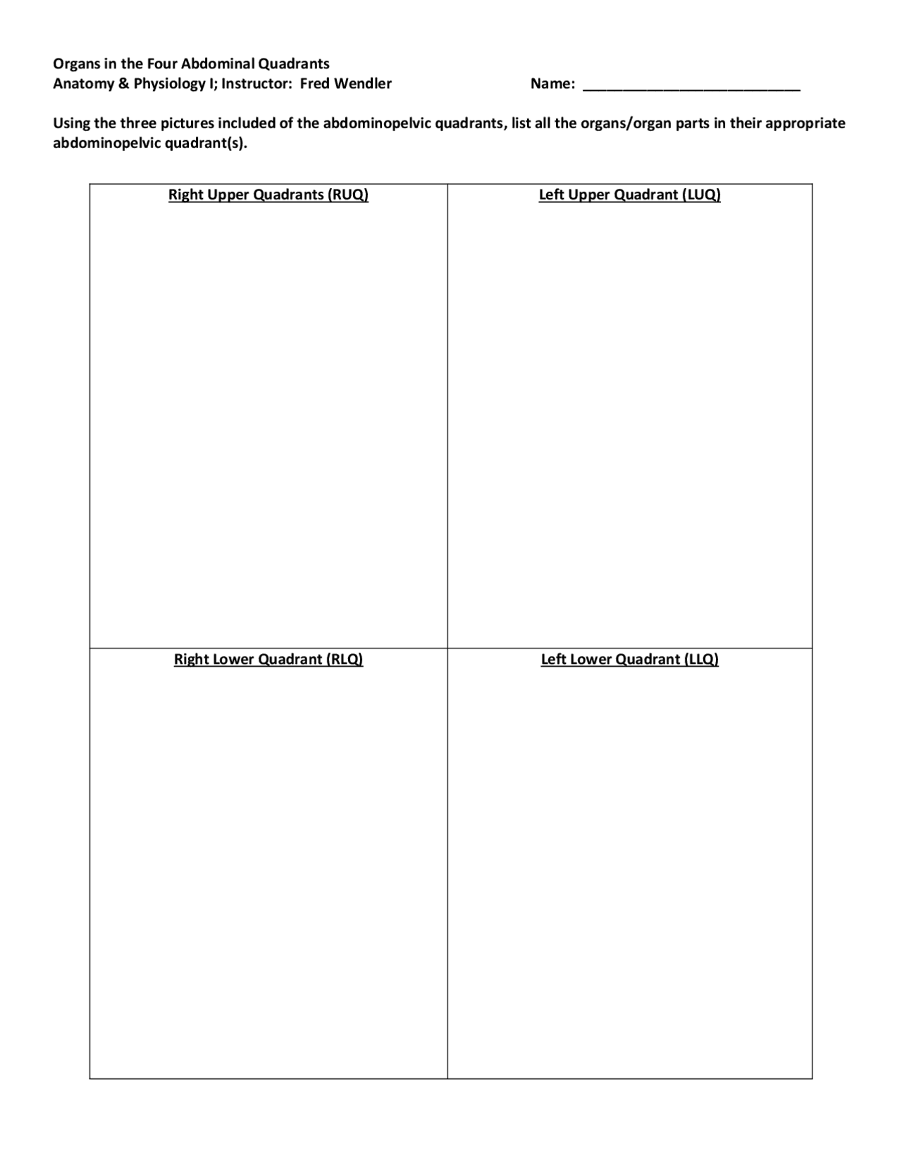 Anatomy Quadrants And Organs The Four Quadrants Of Abdominal Organs