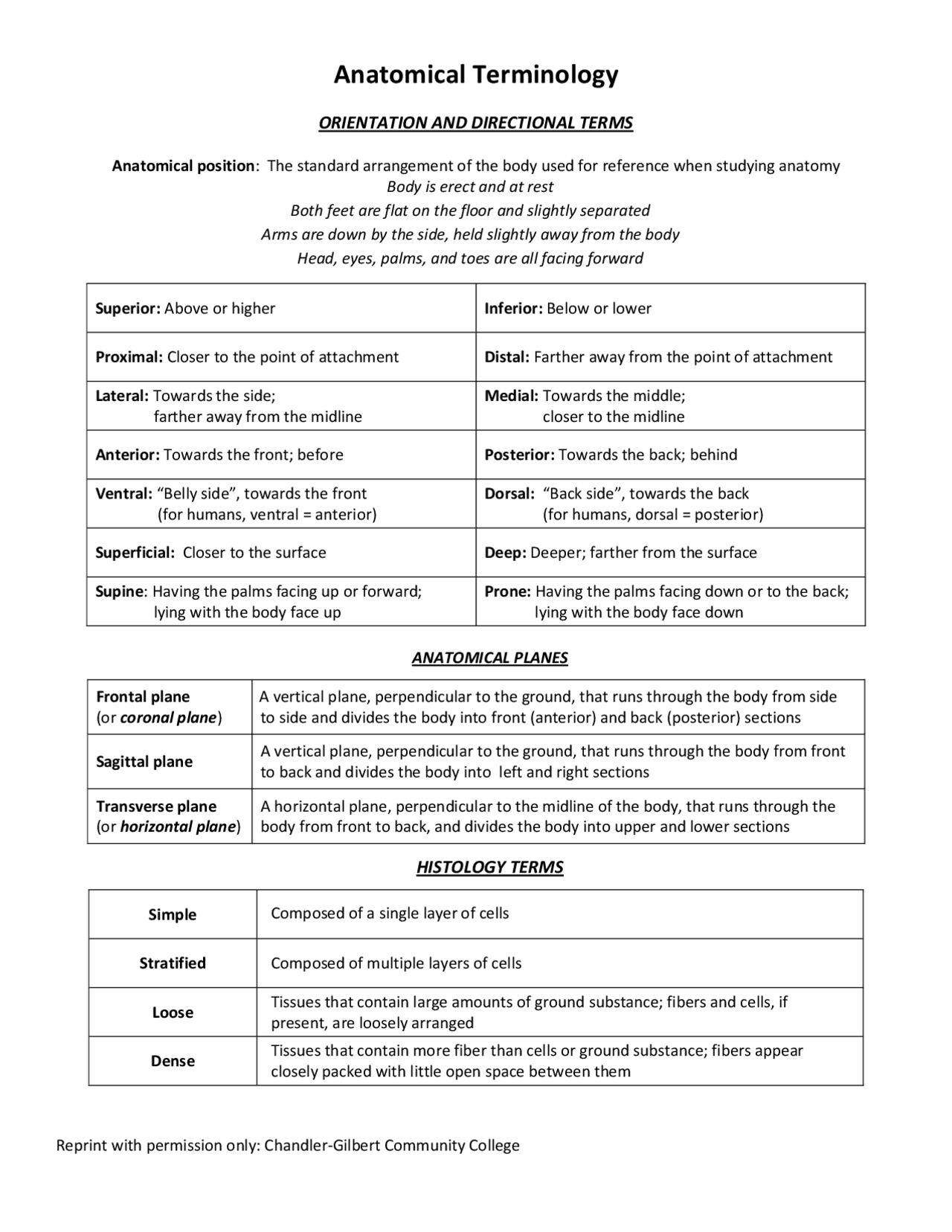 Anatomical Terminology | Slides Anatomy | Docsity