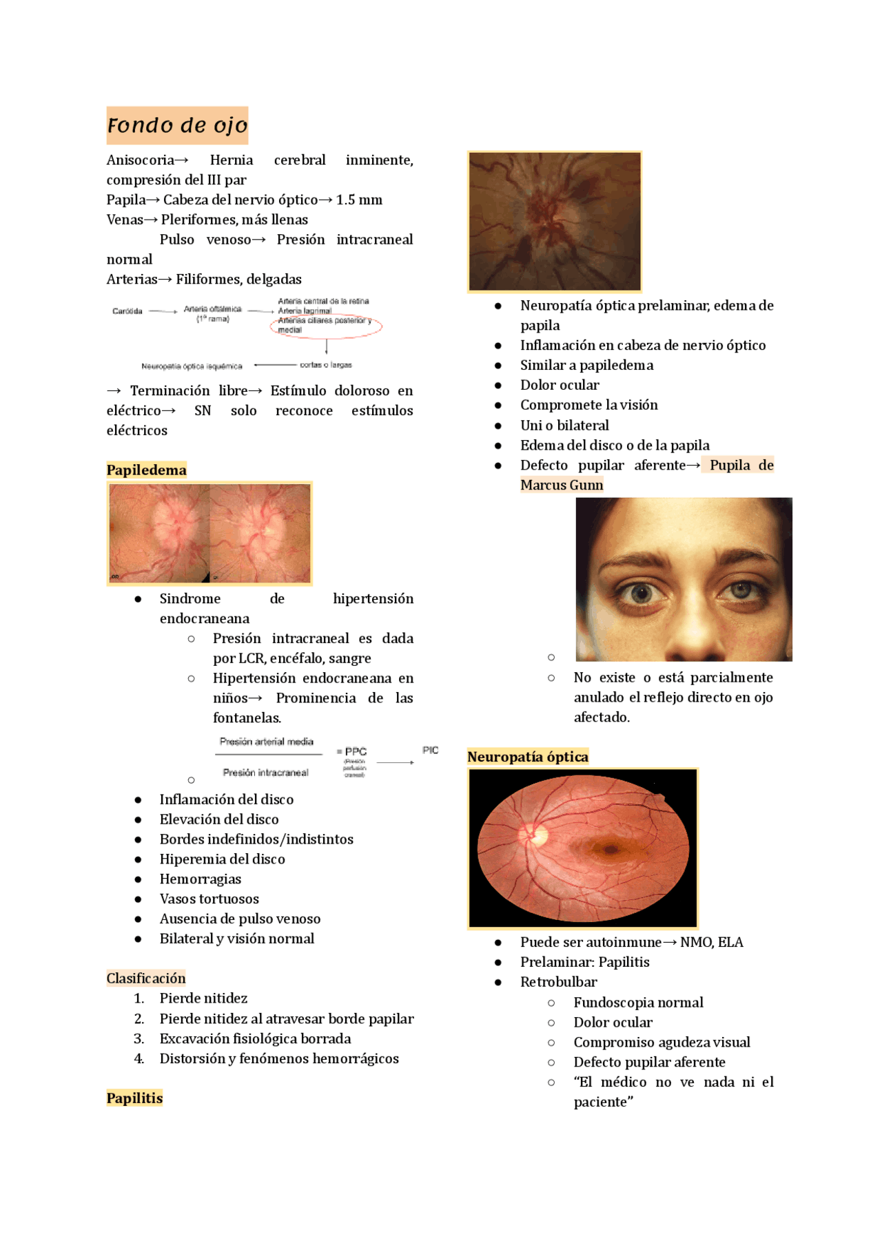 Fondo De Ojo Apuntes Apuntes De Semiología Docsity