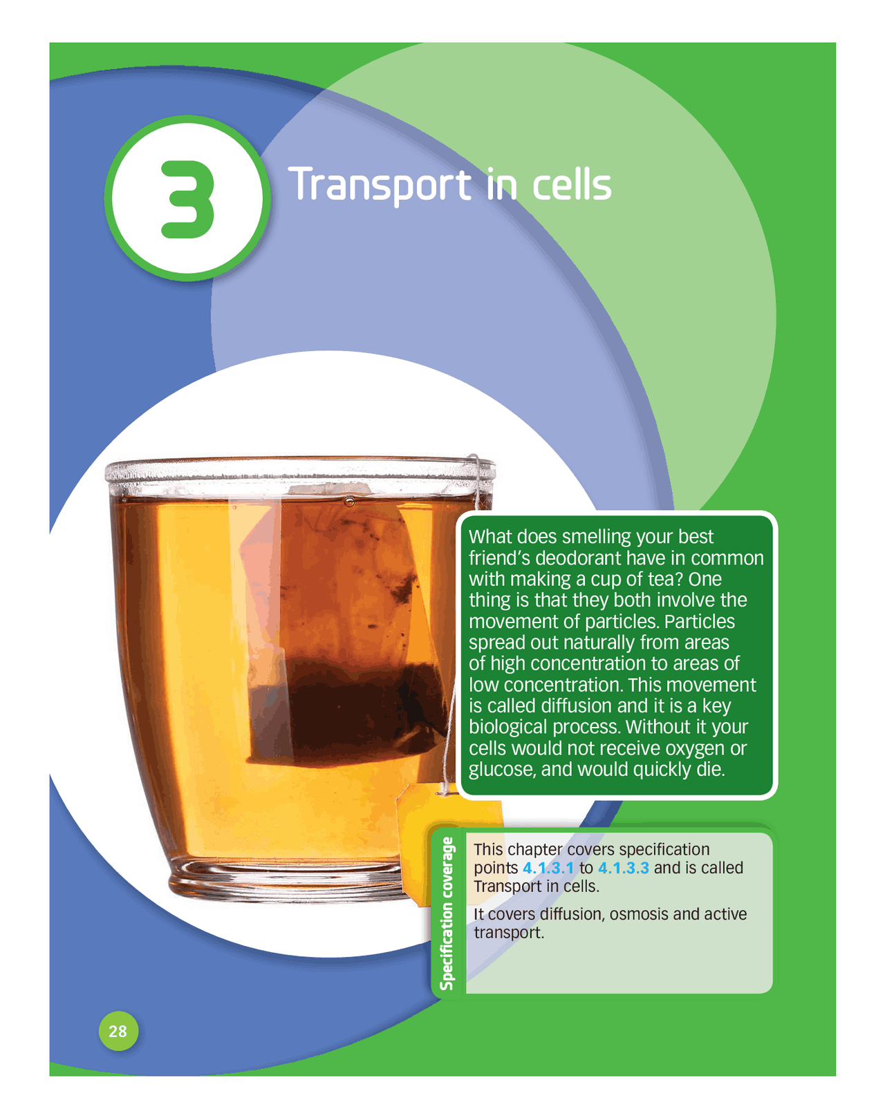 3 Transport in cells | Exams Cell Biology | Docsity
