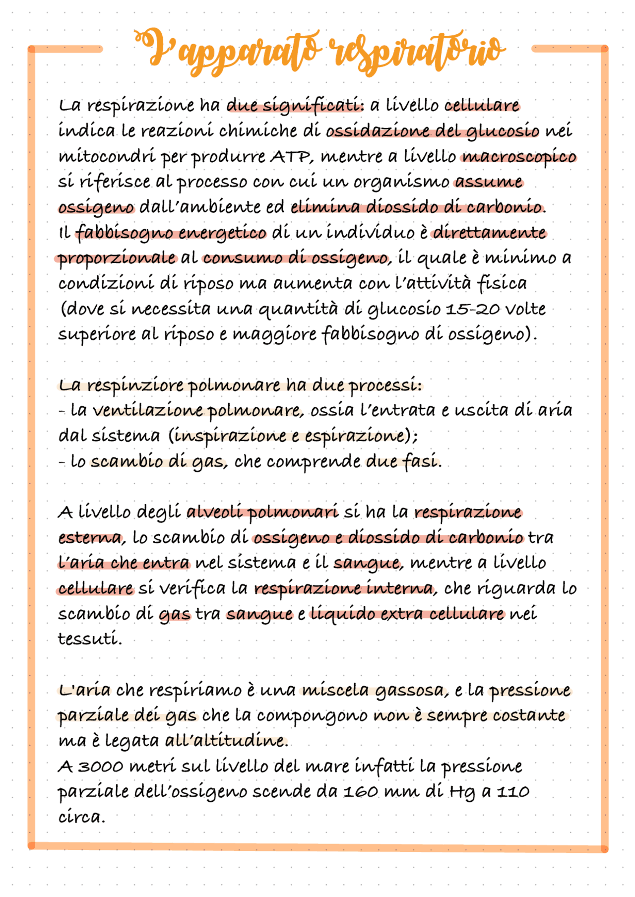 Apparato Respiratorio Appunti Di Anatomia Docsity