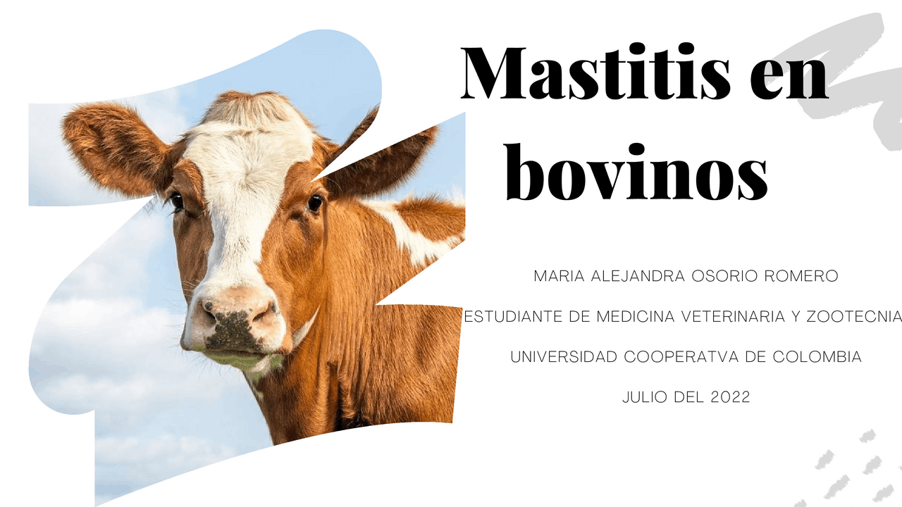 Mastitis infecciosa bovina | Diapositivas de Enfermedades Infecciosas ...