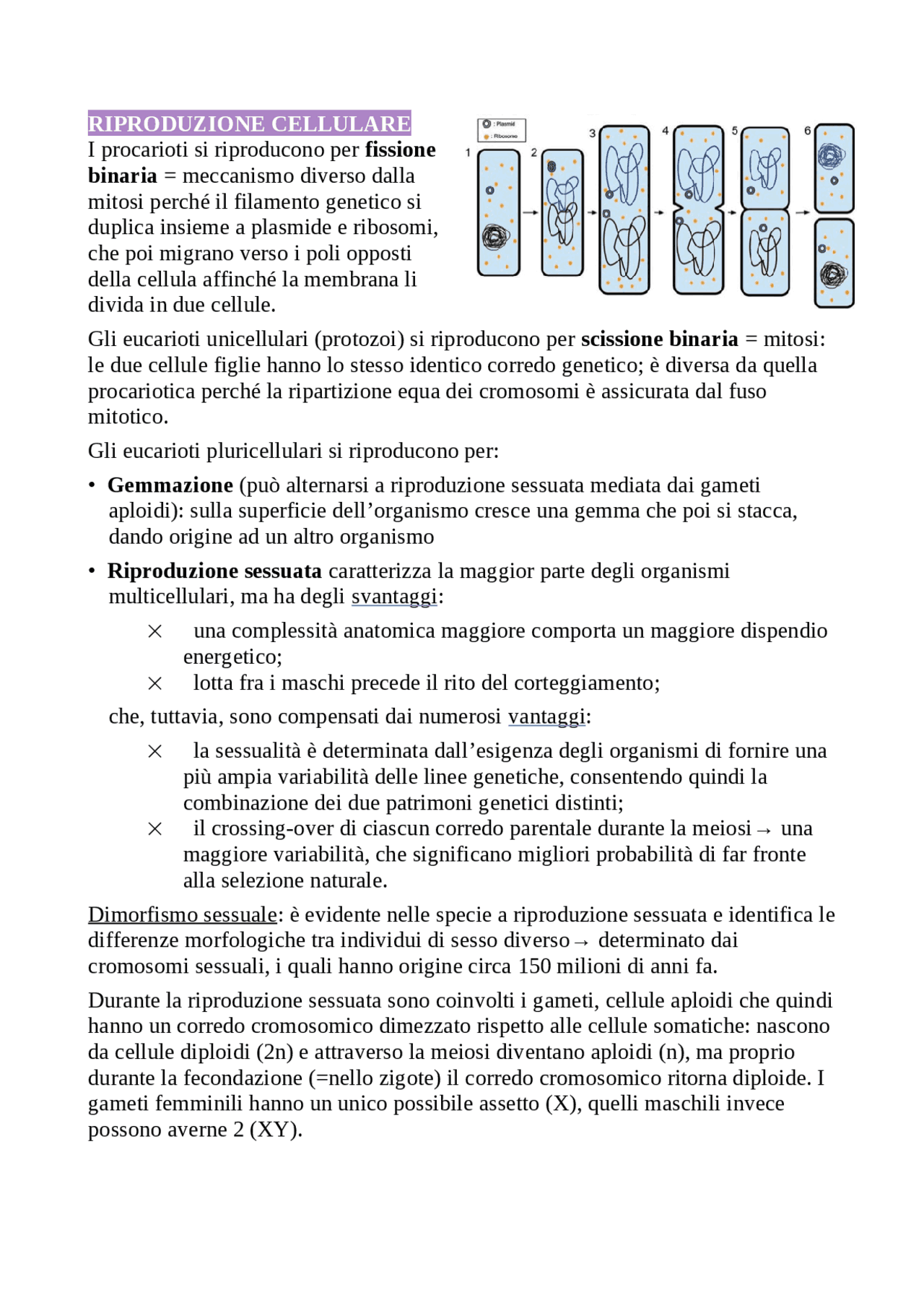 Biologia Seconda Parte Appunti Di Biologia Docsity