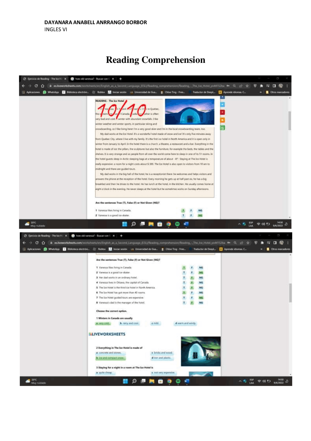 Reading Comprehension | Apuntes de Idioma Inglés | Docsity