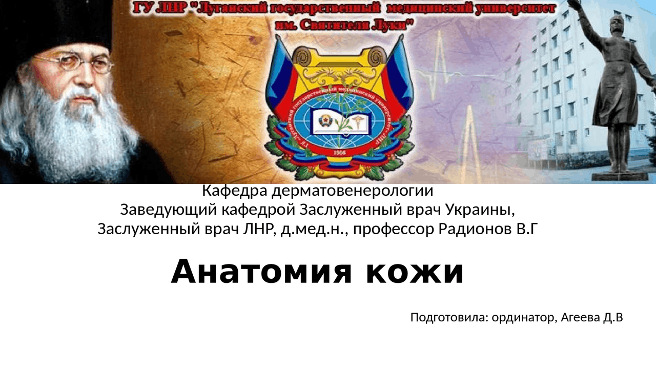 Анатомия и функции кожи Презентации Дерматология Docsity