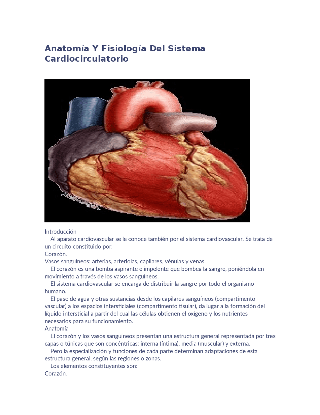 Anatomía y fisiología del sistema cardiocirculatorio | Guías, Proyectos, Investigaciones de ...