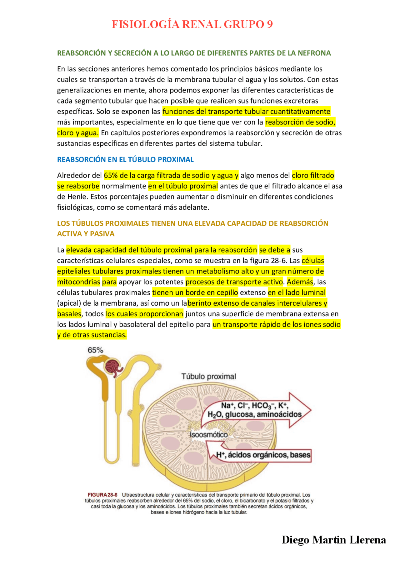 Resumen Cap 9 Del Primer Parcial Resúmenes De Fisiología Docsity