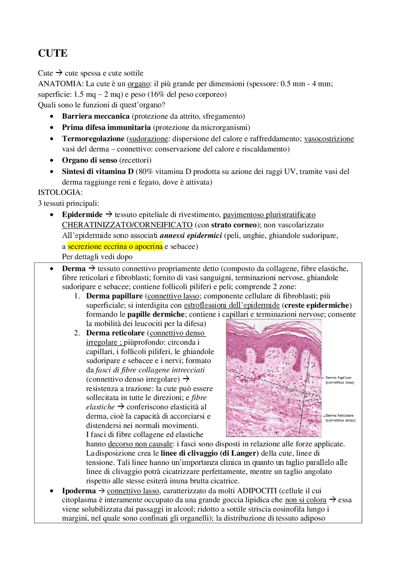 Istologia Delle Cellule Acinose
