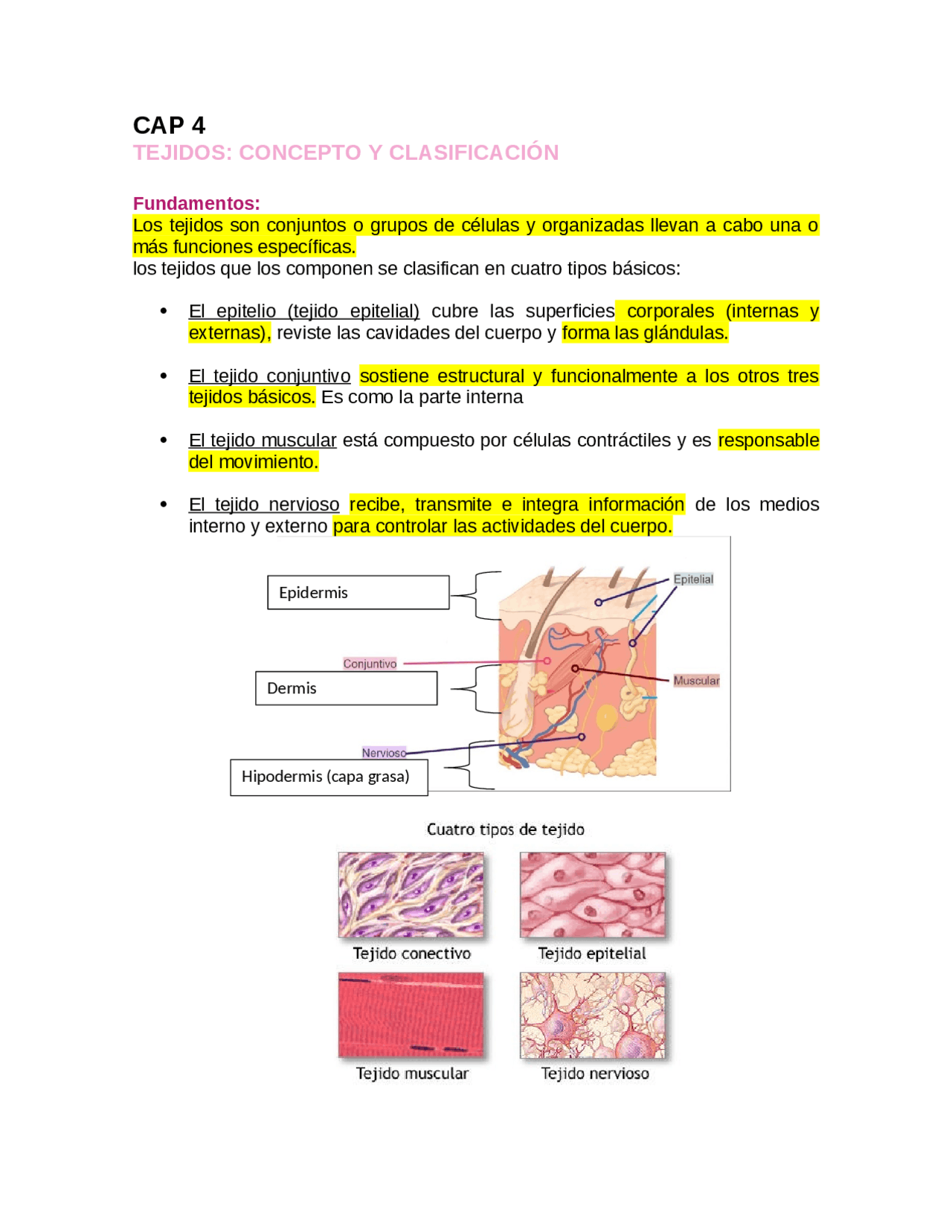 Resumen Libro De Ross En La Universidad Resúmenes De Histología Docsity