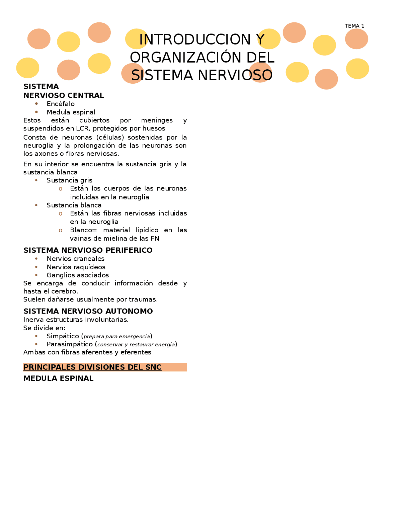 Neuroanatomia Generalidades Resúmenes De Neuroanatomía Docsity