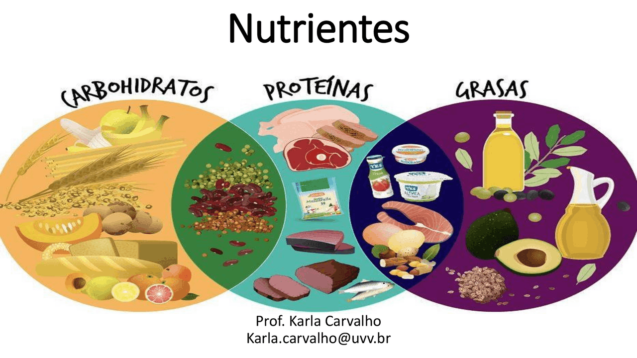 Nutrição Metabolismo Ciencia Esquemas Nutrição Docsity