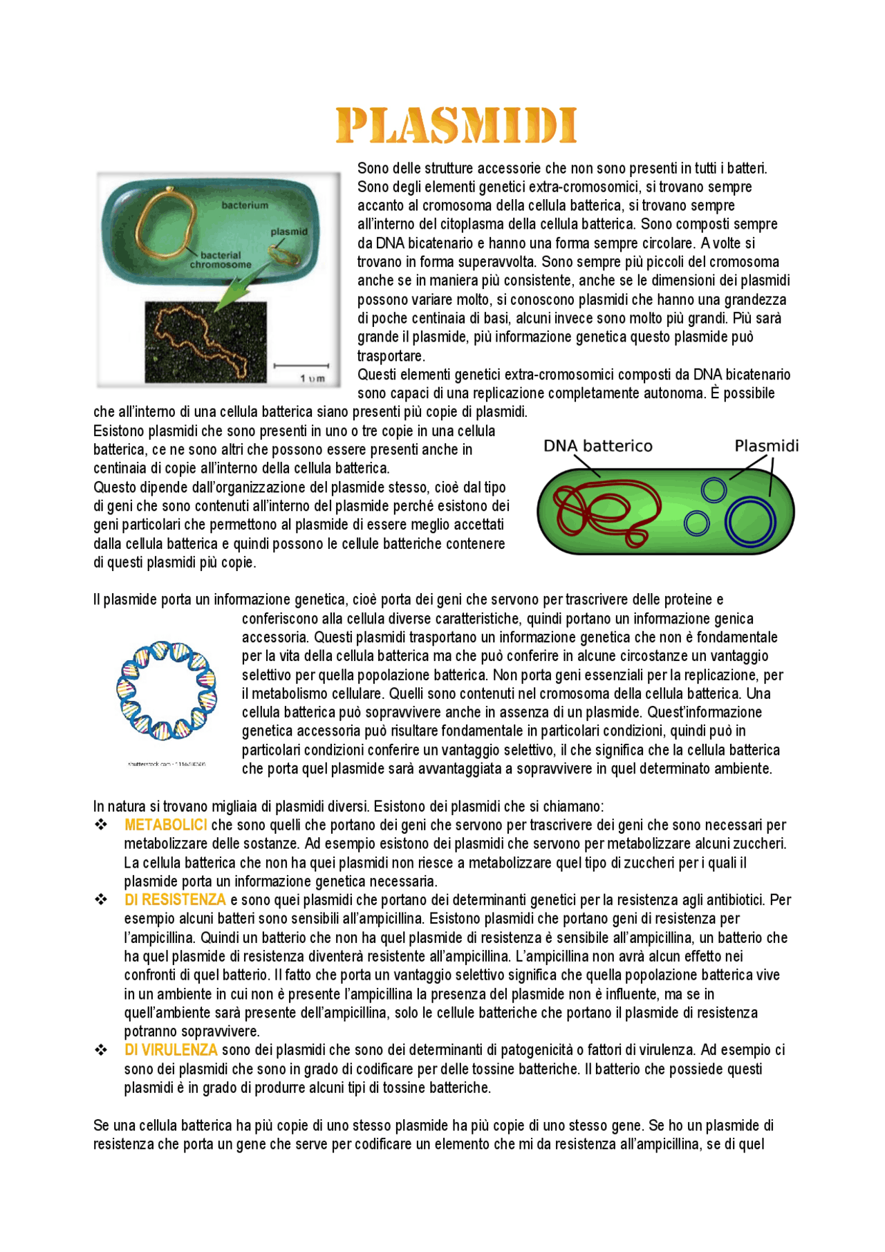 Plasmidi Nei Batteri E Funzioni Appunti Di Microbiologia Docsity