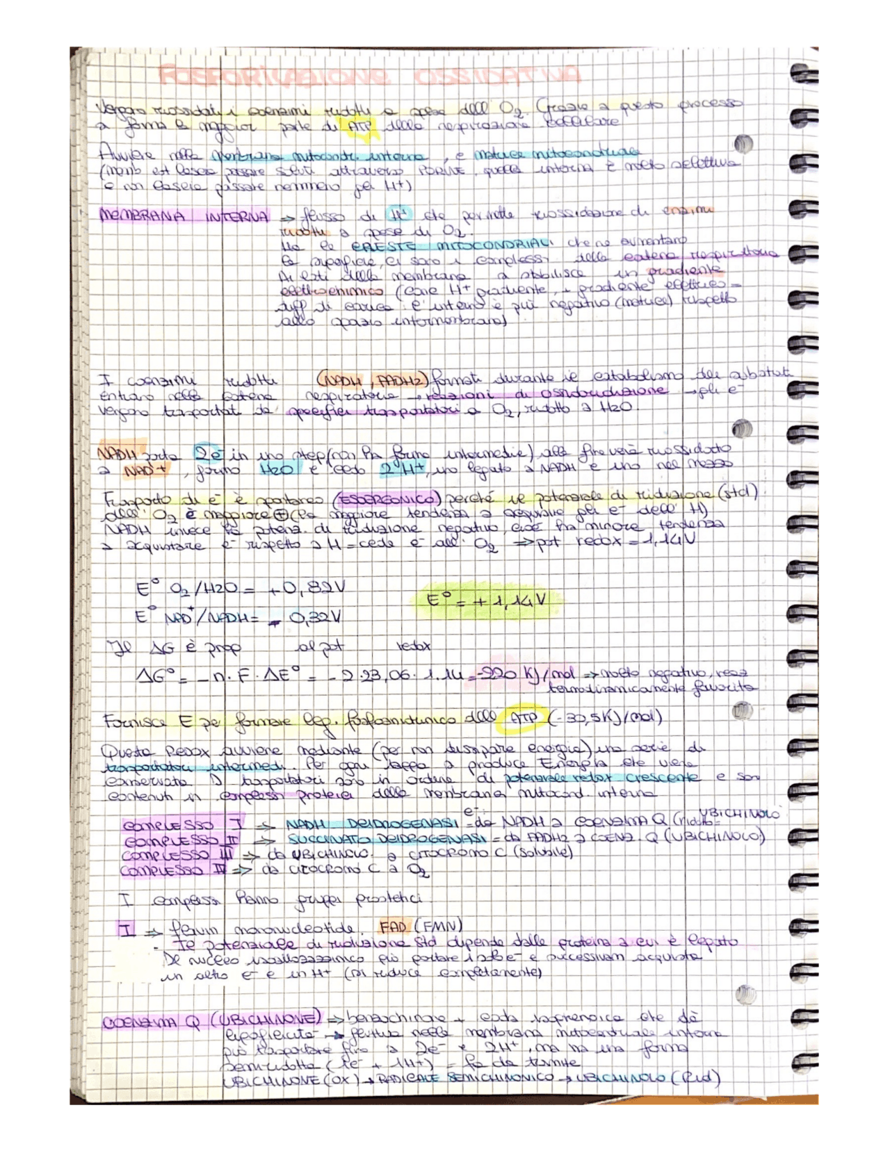 Biochimica Generale Parte12 Fosforilazione Ossidativa E Amminoacidi