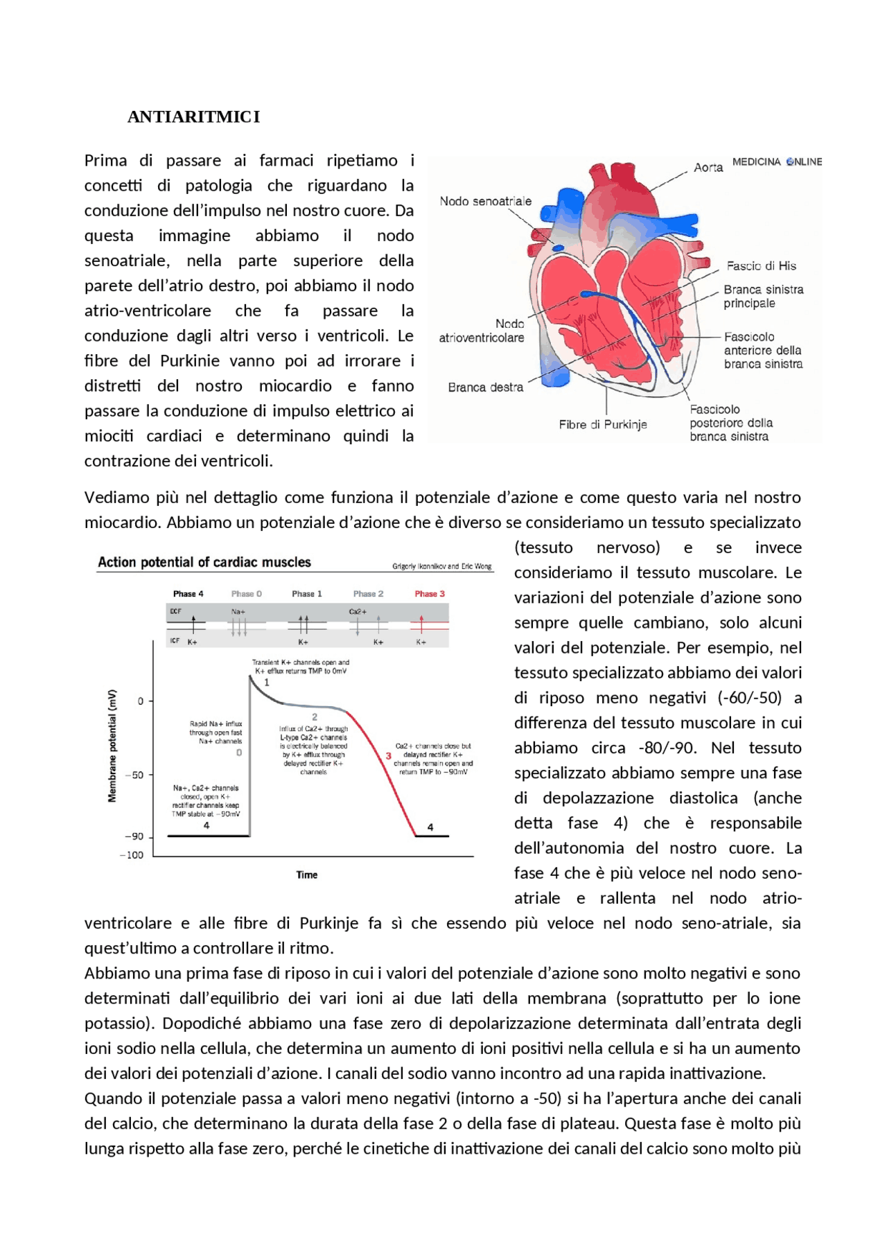 Farmaci antiaritmici e insufficienza cardiaca | Appunti di Farmacologia ...