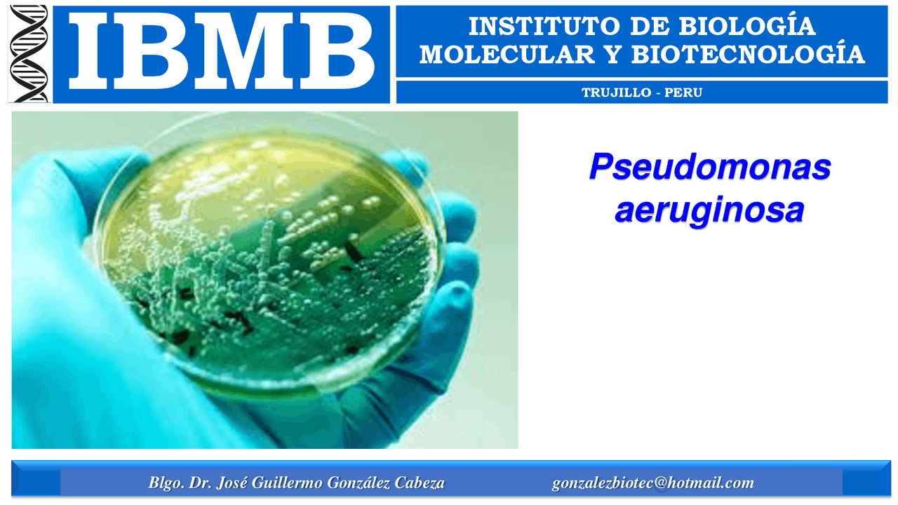 Pseudomonas aeruginosa - Dr. GONZALEZ CABEZA | Diapositivas de ...