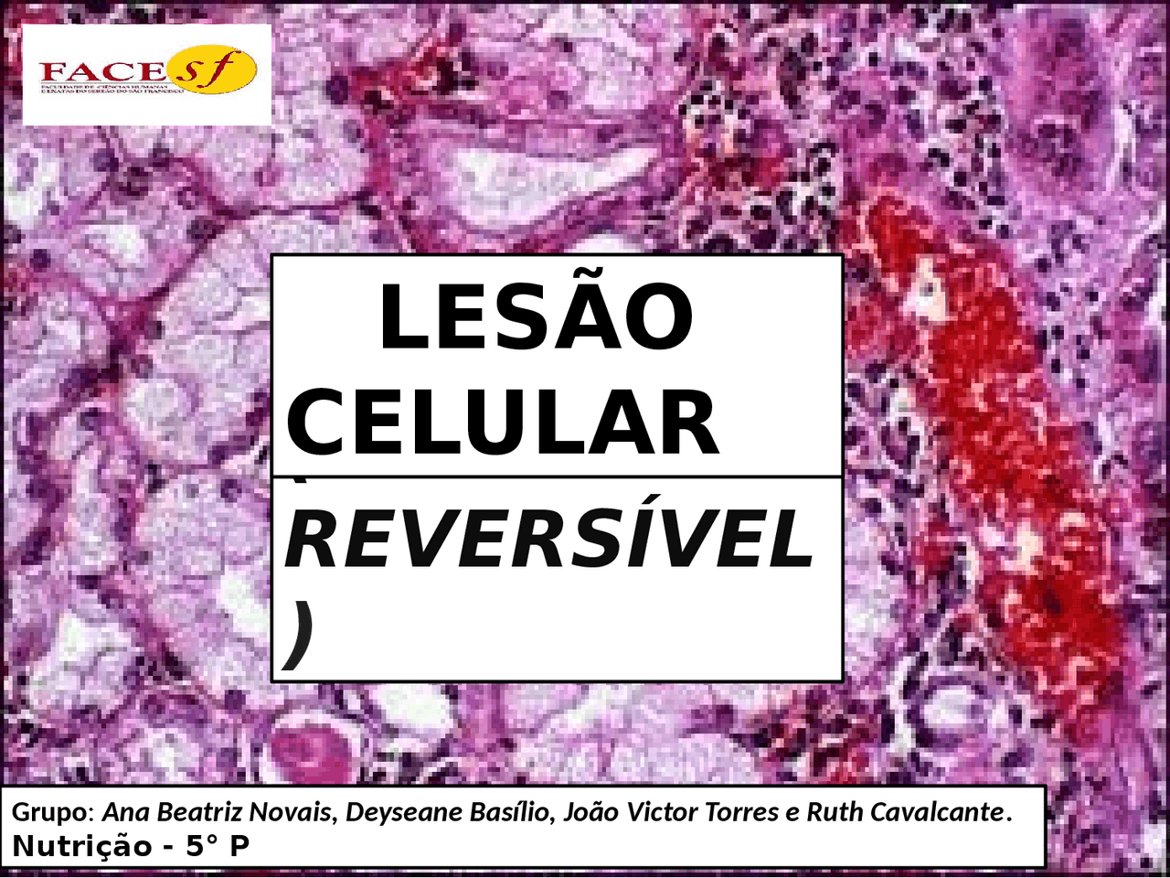 Quimica E Entre Outras Materias Derivadas Resumos Biologia Docsity