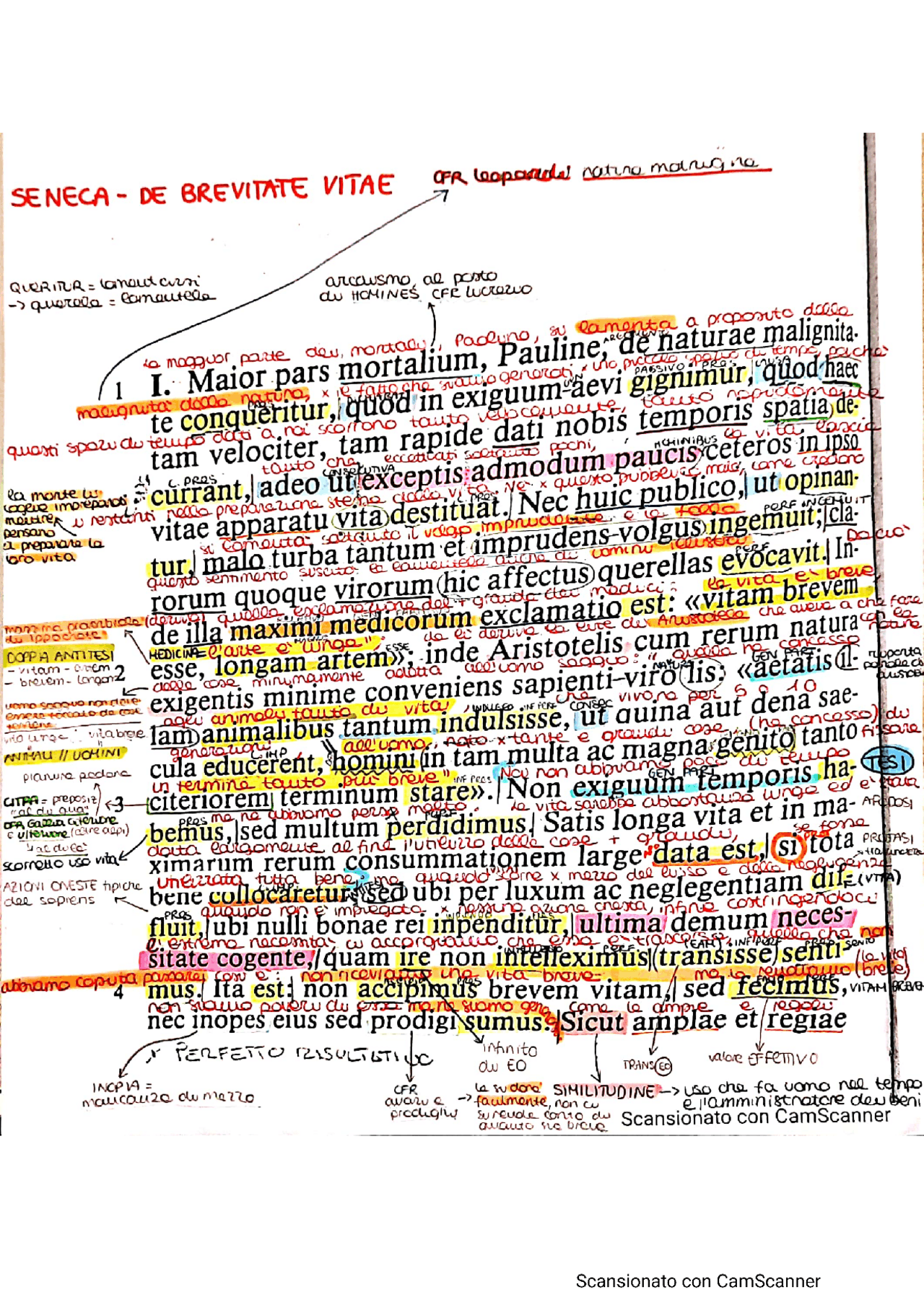 Seneca De Brevitate Vitae Versioni Di Latino Docsity