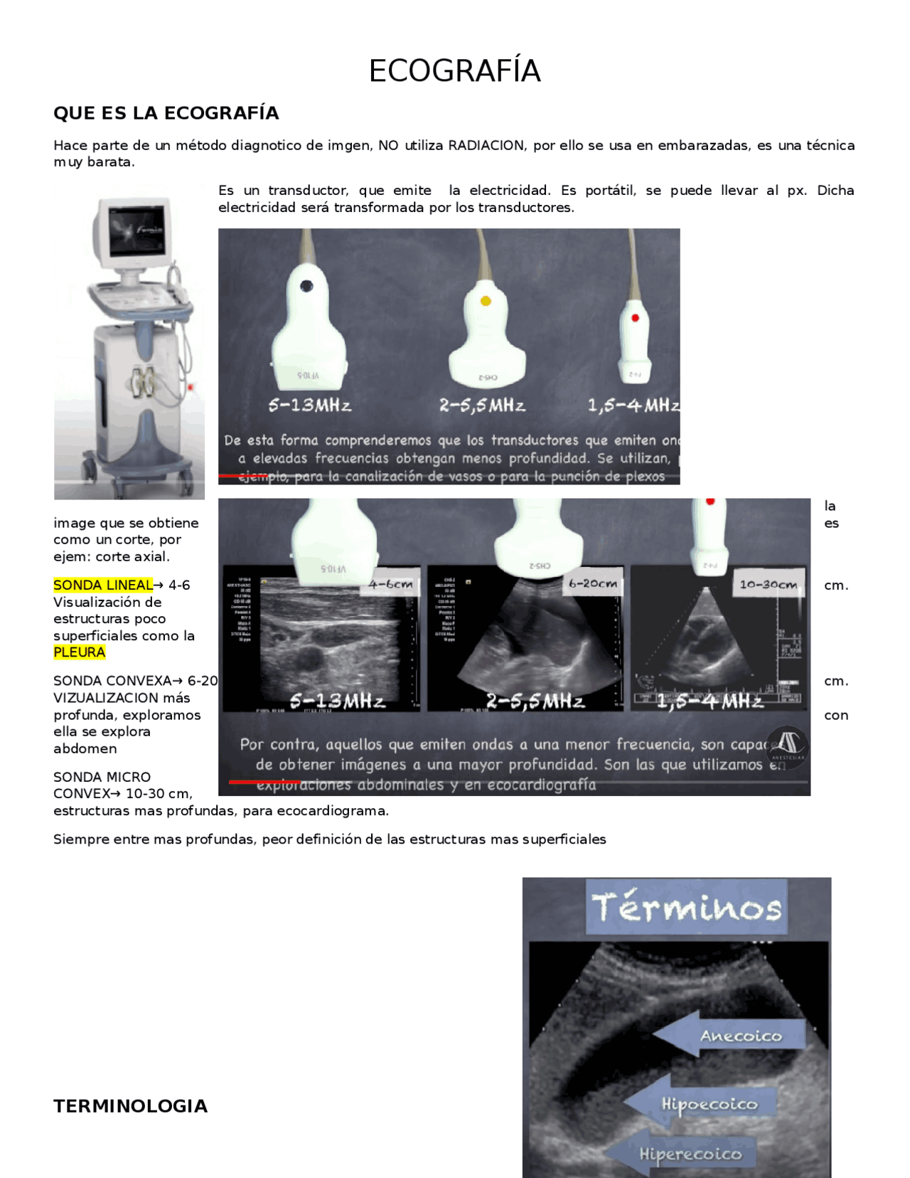Introduccion A La Ecografia Resúmenes De Semiología Docsity
