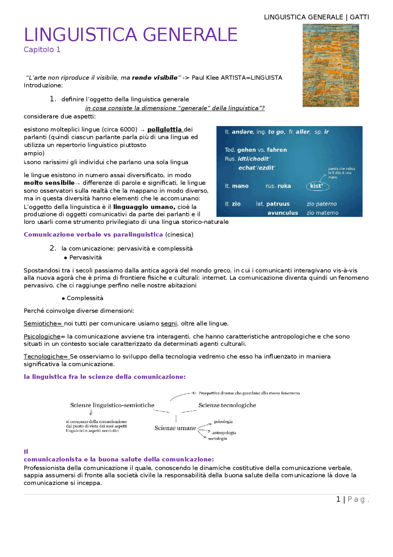 Appunti Completi Linguistica Generali Gatti 1 Anno Appunti Di