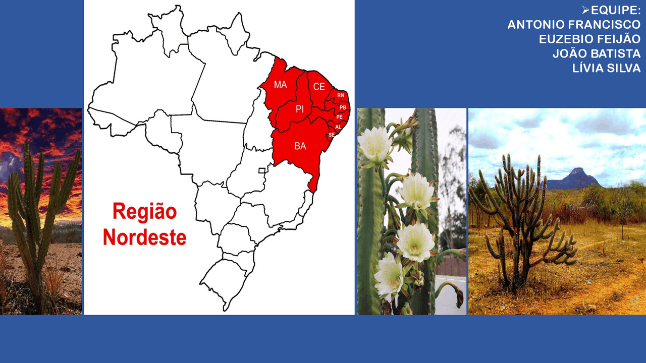 Região Nordeste suas características | Slides Geografia | Docsity
