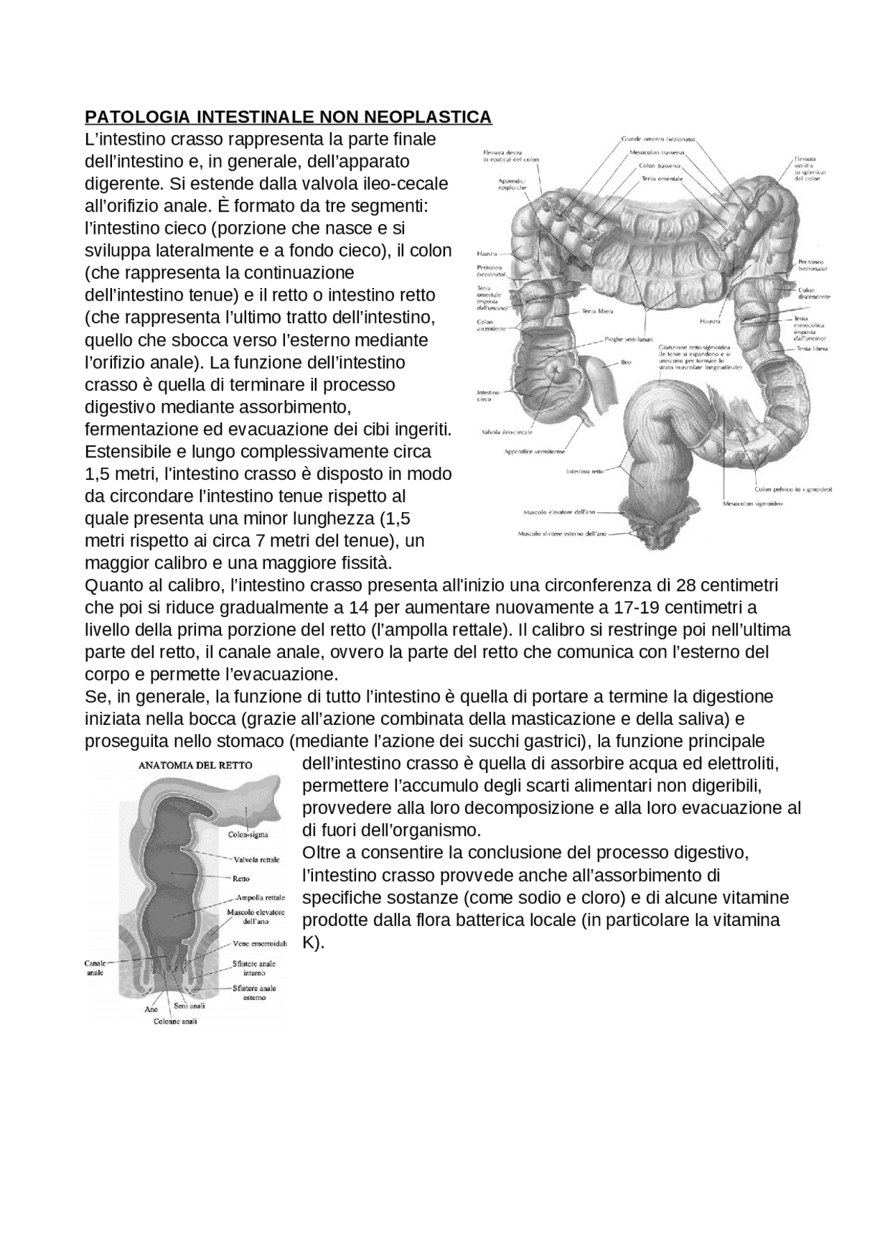 Patologia intestinale non neoplastica | Appunti di Anatomia Patologica ...