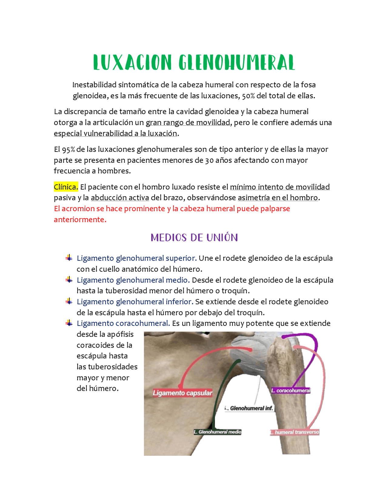 Traumatología luxacion glenohumeral | Resúmenes de Traumatología | Docsity