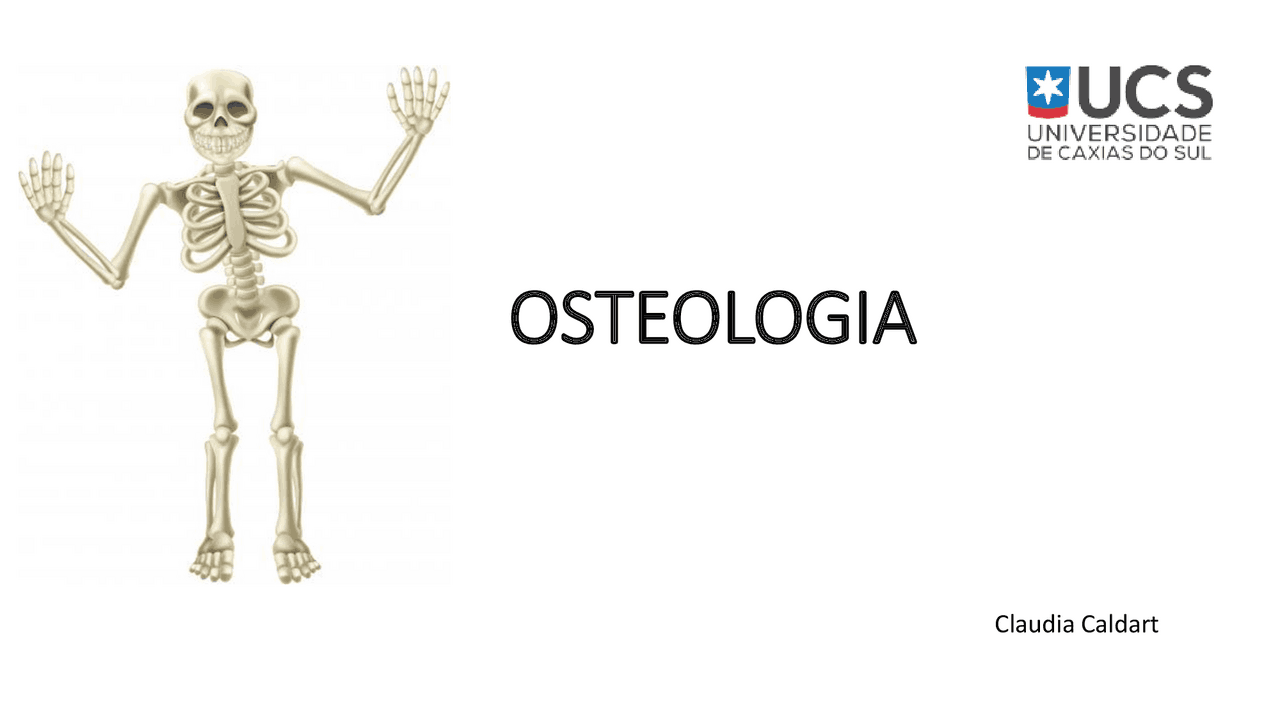 Osteologia basica para estudantes | Resumos Anatomia | Docsity