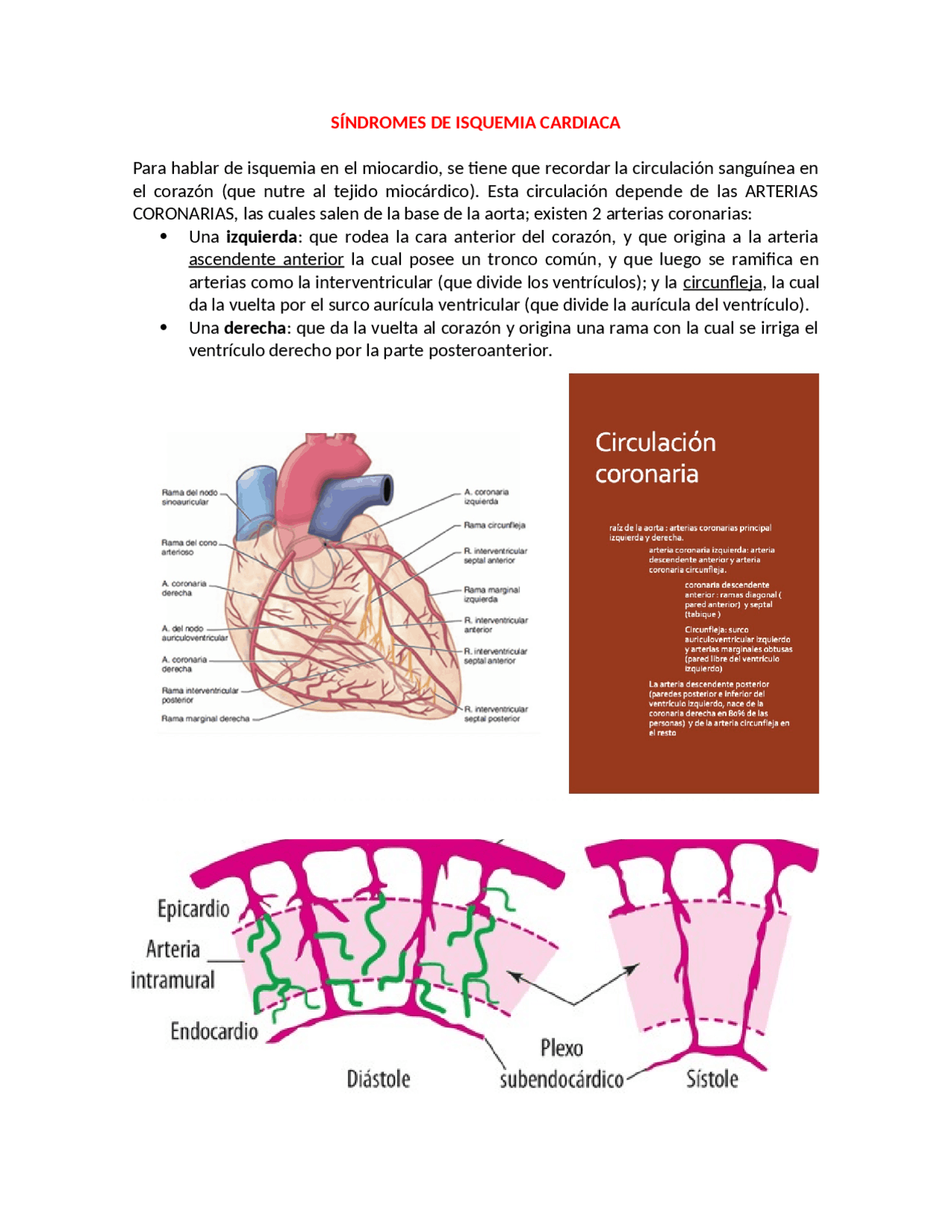 Sx De Isquemia Cardiaca Resúmenes De Fisiopatología Docsity