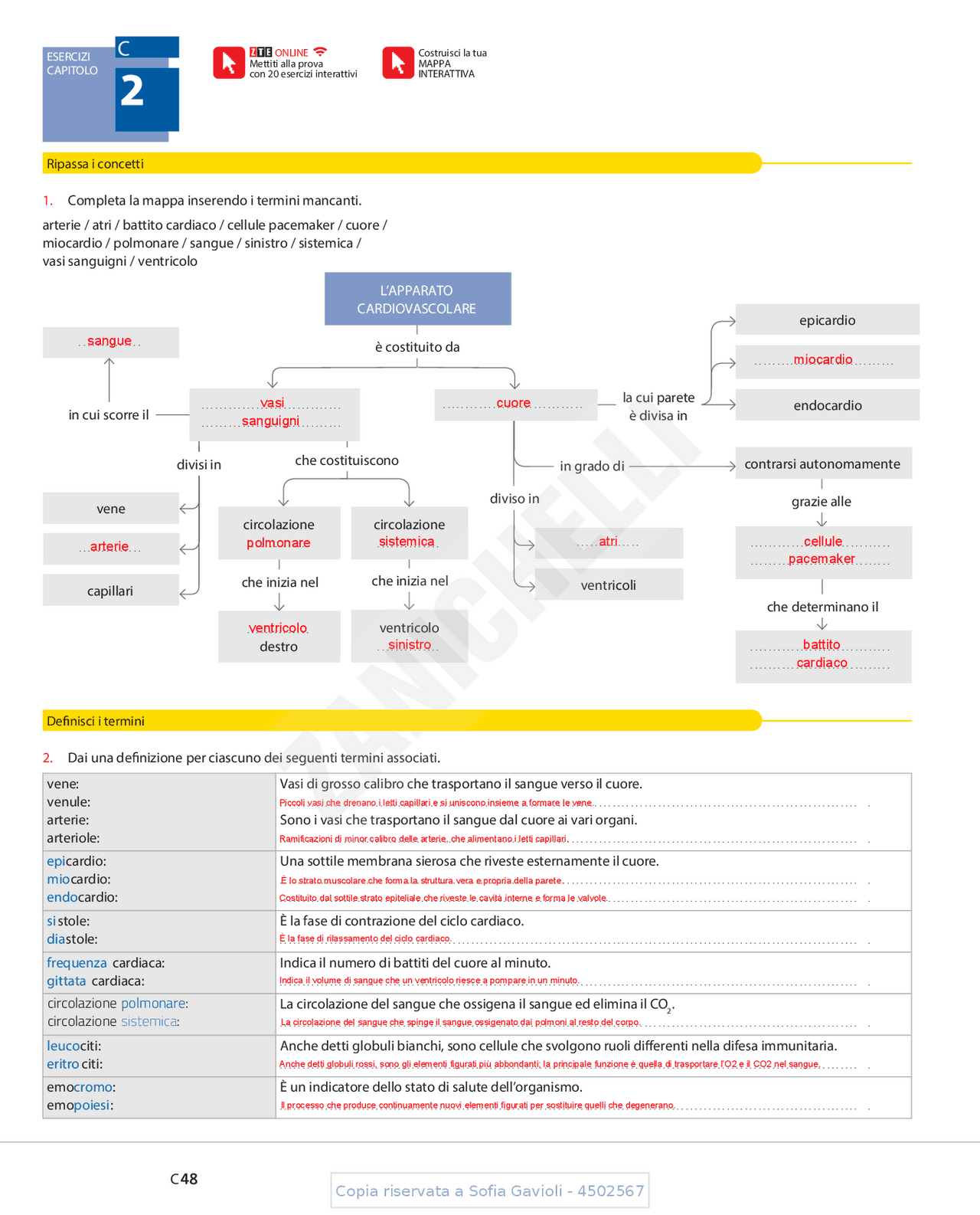 Sistema Cardio Circolatorio Esercizi Di Biologia Docsity